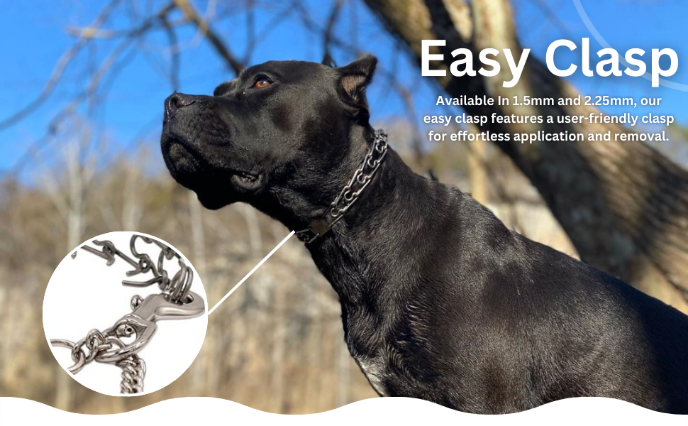 CLASP SERIES - 2.25mm – Kimberland Collars